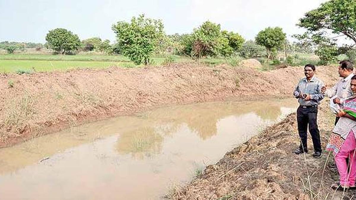 Collector reviews desilting work - The Hindu