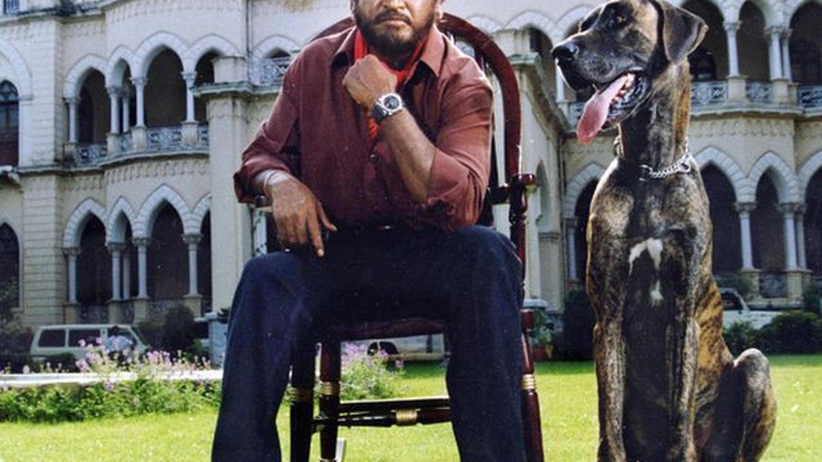 ‘Baasha’ set to sizzle again, this time in a digital avatar - The Hindu