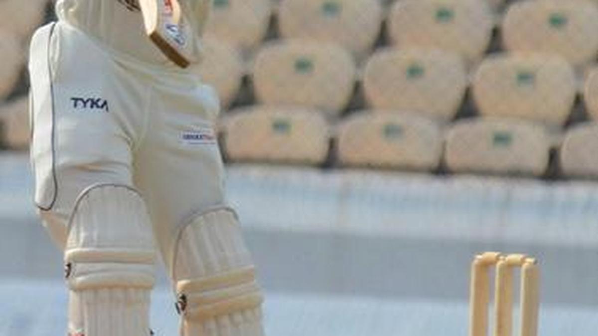 Bhavin Thakkar, Rohan Prem make merry - The Hindu