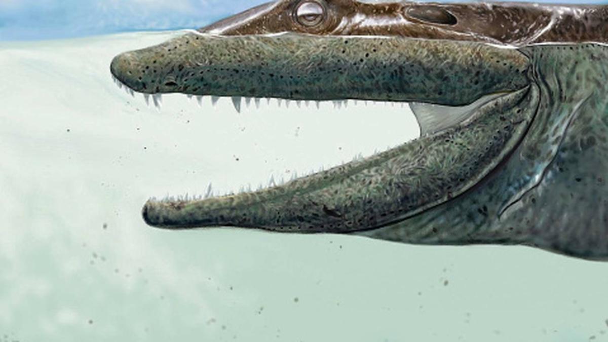 Speed of evolution faster than thought, say scientists - The Hindu