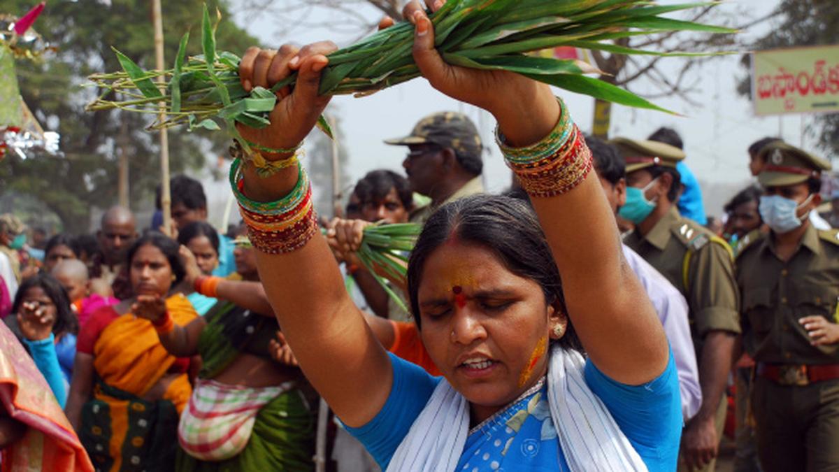 The power of Medaram - The Hindu