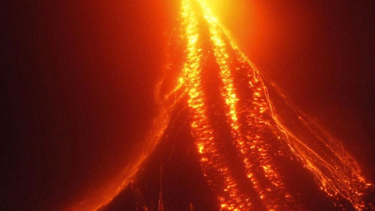 Day in pictures, December 19, 2009 - The Hindu