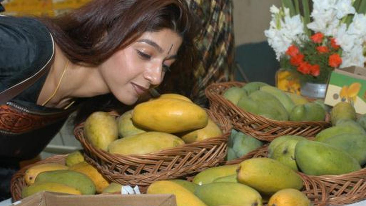 Why blocked nose affects food taste - The Hindu