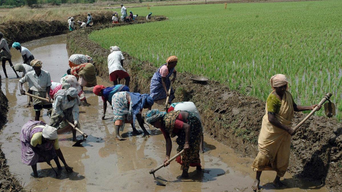 Taking goals of NREGA-I forward - The Hindu