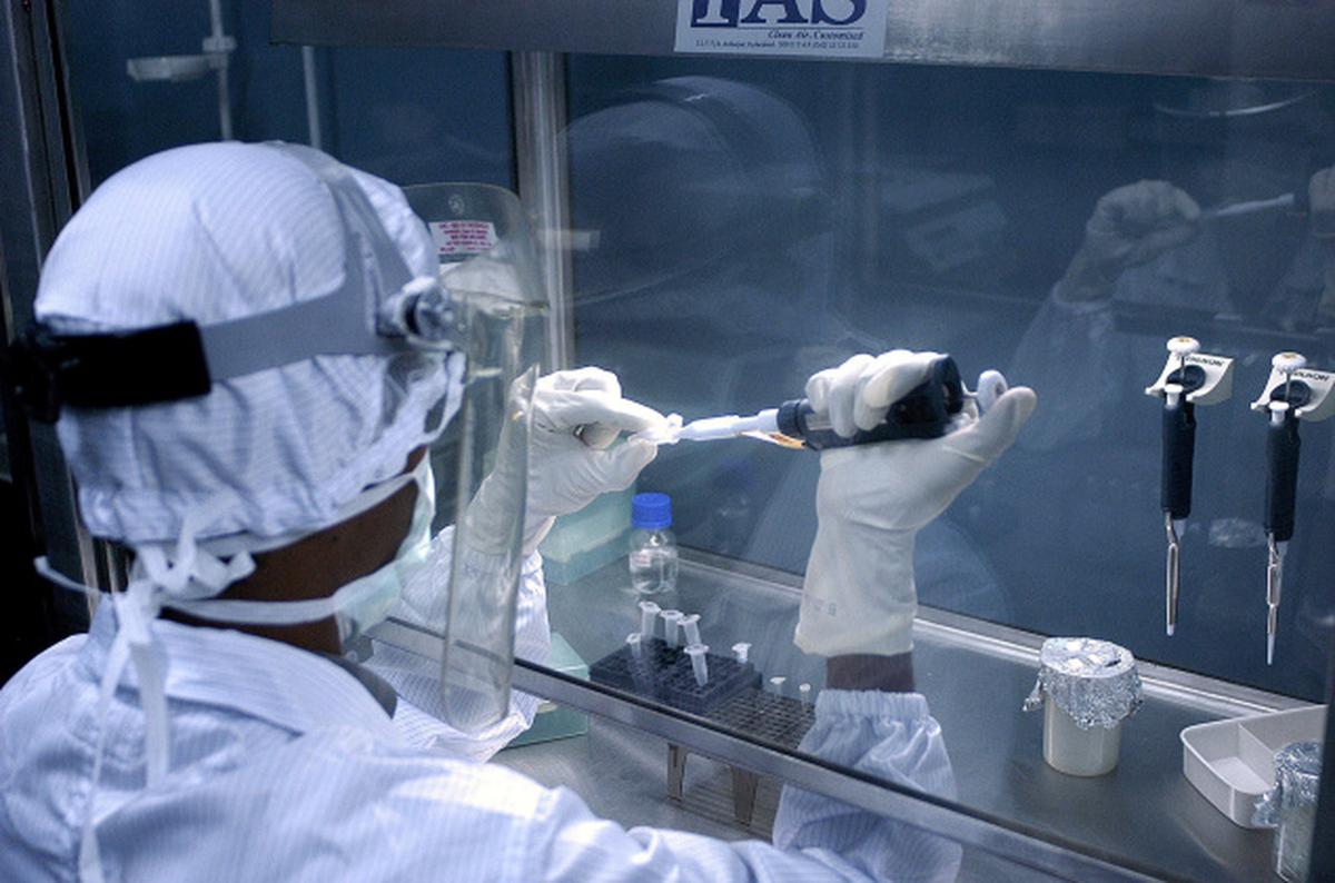 Study throws light on genetic diversity of Indian population - The Hindu