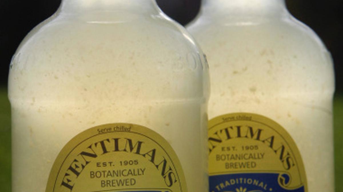 Maine puts squeeze on low-alcohol British lemonade - The Hindu