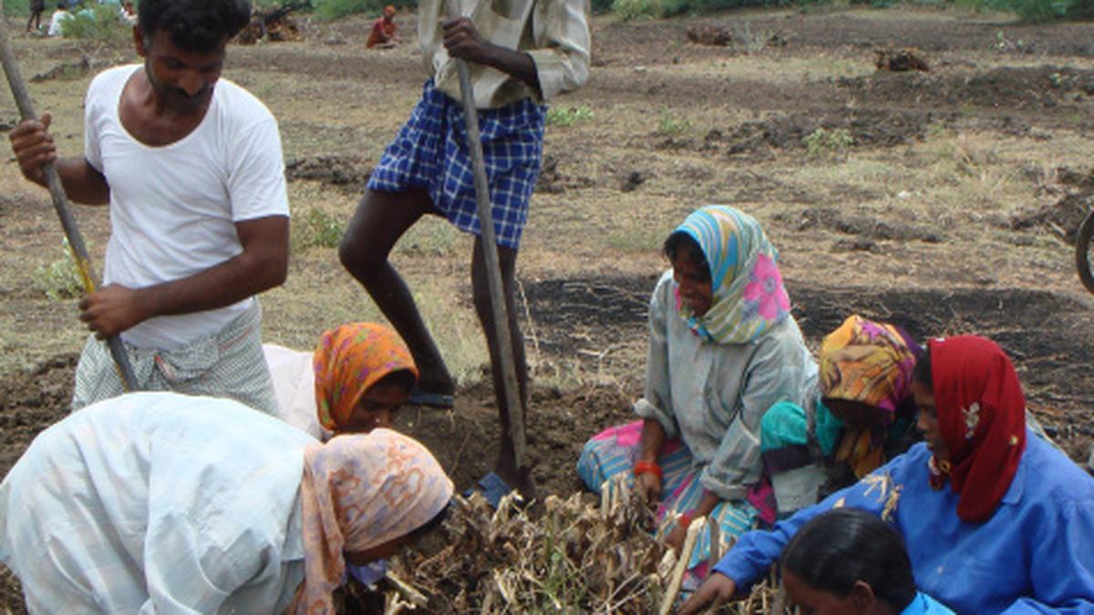 Centre accepts suggestions of States under NREGS - The Hindu