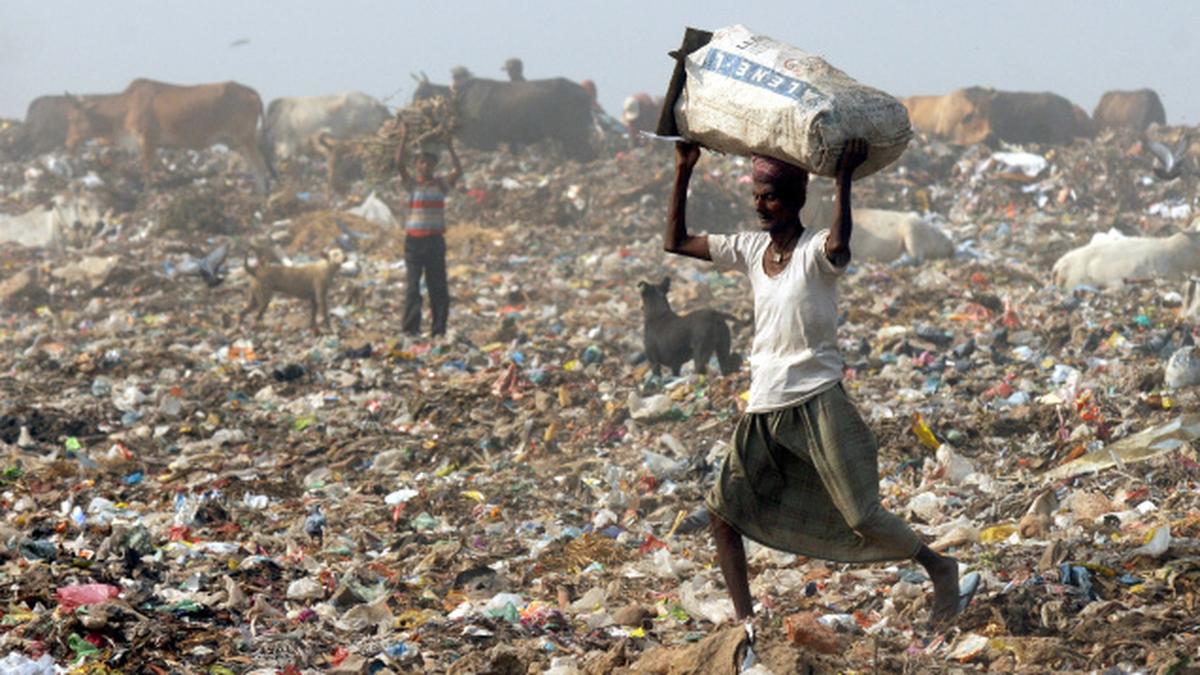 Urban dump yards: A stinking reality - The Hindu