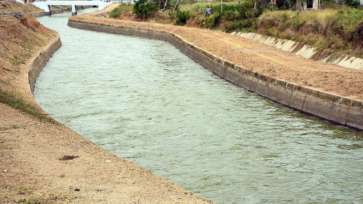 Water released into Kalingarayan canal - The Hindu