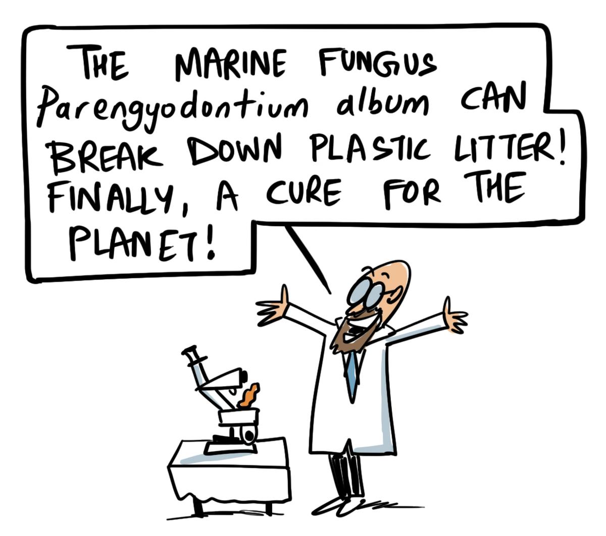 Green Humour by Rohan Chakravarty on plastic decomposing marine fungus ...