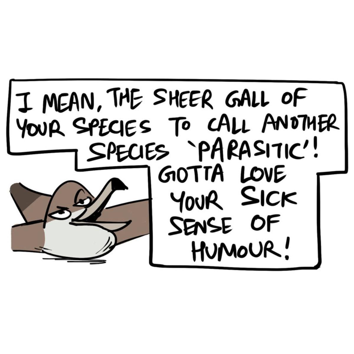 Green Humour by Rohan Chakravarty on the bird flu outbreak - The Hindu