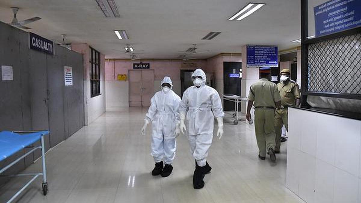 Nipah: six suspected patients in Kerala test negative - The Hindu