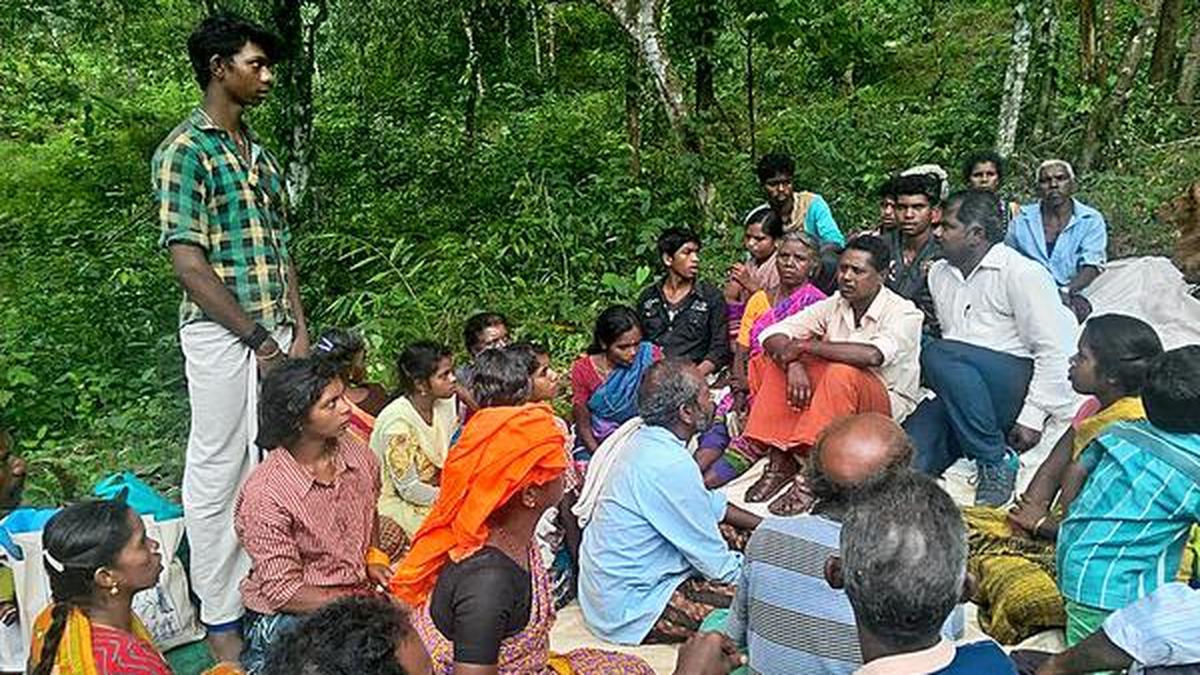 Huts lost in landslip, Kadars struggle to hold on - The Hindu