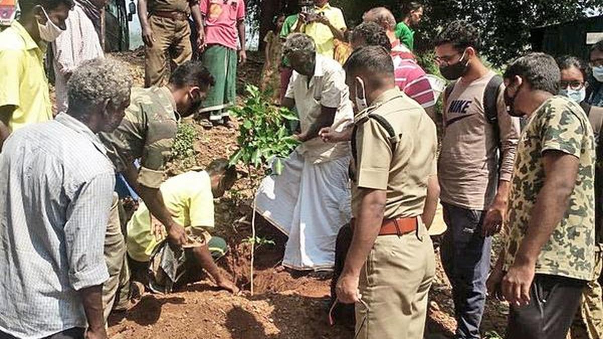 ‘Tribal people continue to be guardians of forests’ - The Hindu