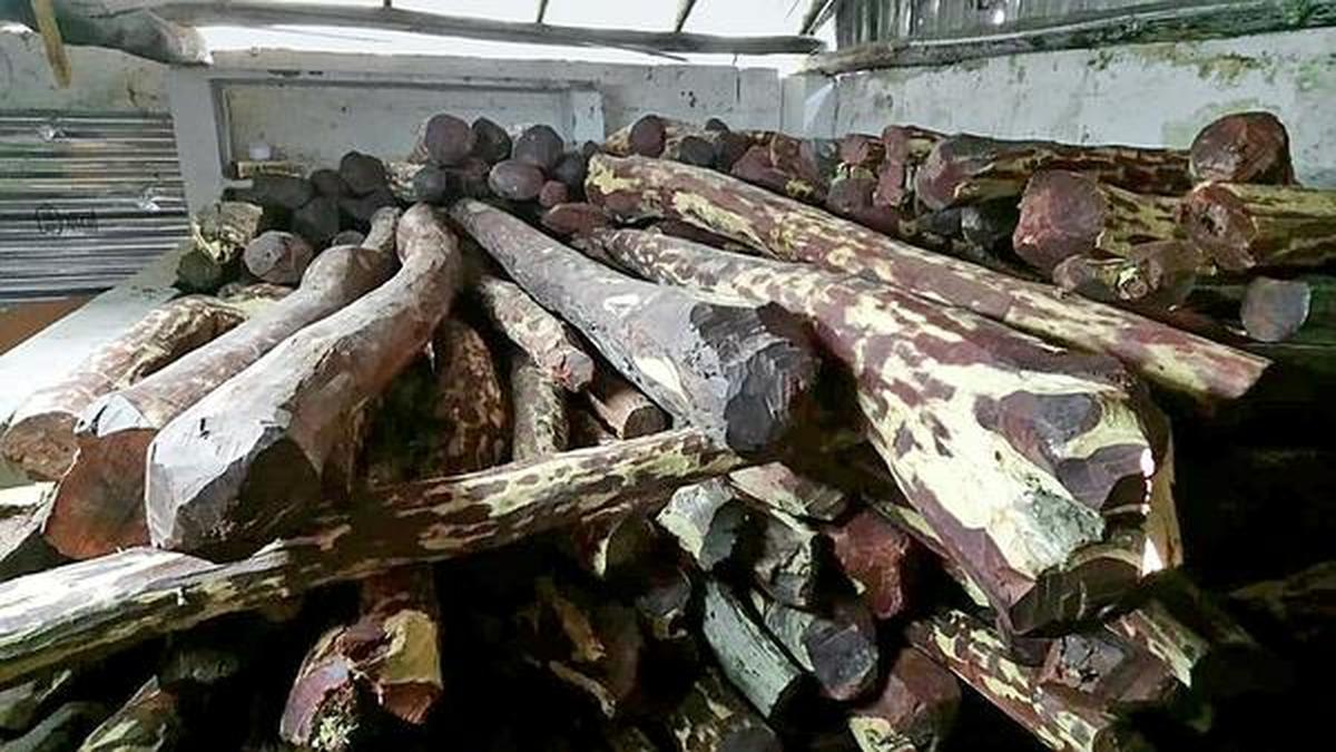 11.46 tonnes of red sanders seized in Tiruppur - The Hindu