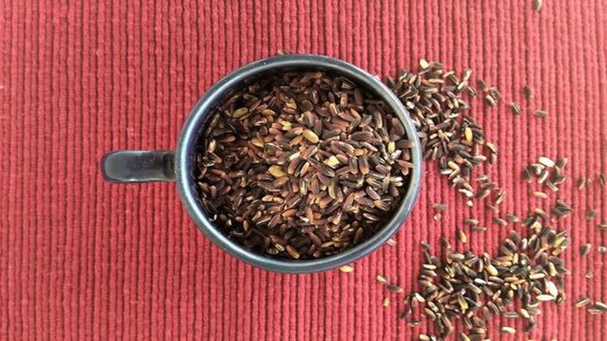 On the importance of traditional rice varieties - The Hindu