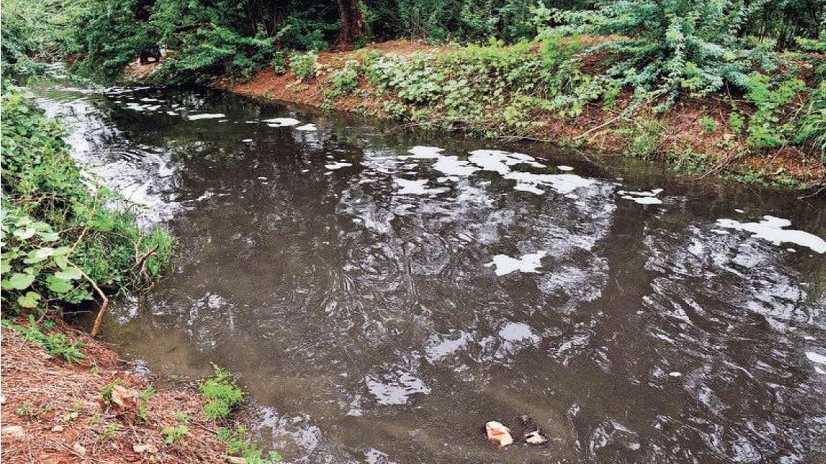 Coimbatore tanks likely to be full by next week - The Hindu