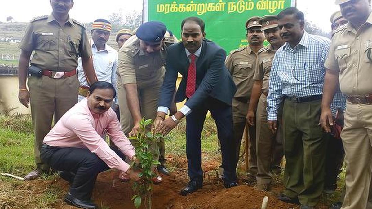 Sapling plantation drive in Ooty - The Hindu