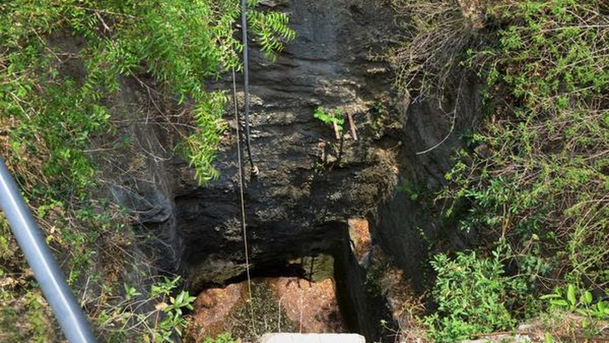 ‘Revive defunct open farm wells’ - The Hindu