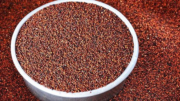 Demand for millet-based products on the rise - The Hindu