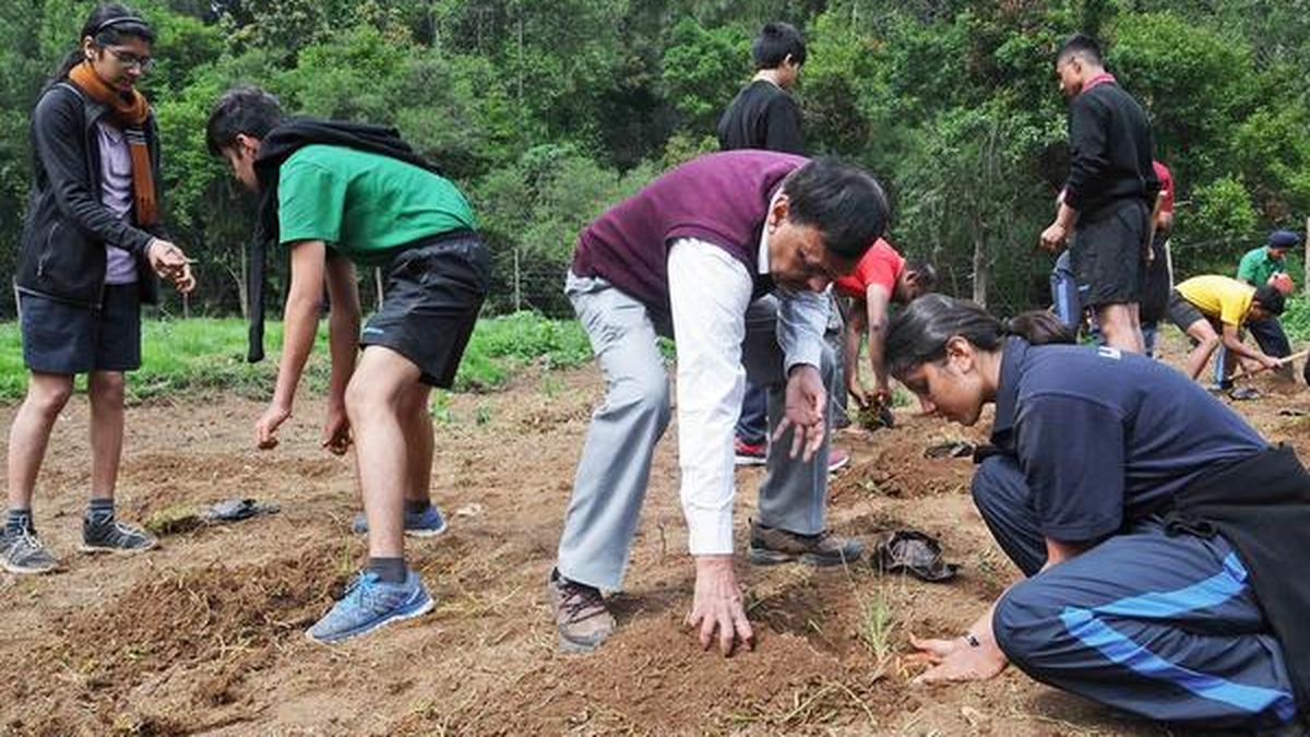 Grassland restoration project takes off in the Nilgiris - The Hindu