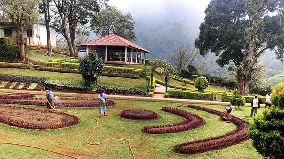 Tourist inflow to Kattery Park picking up - The Hindu