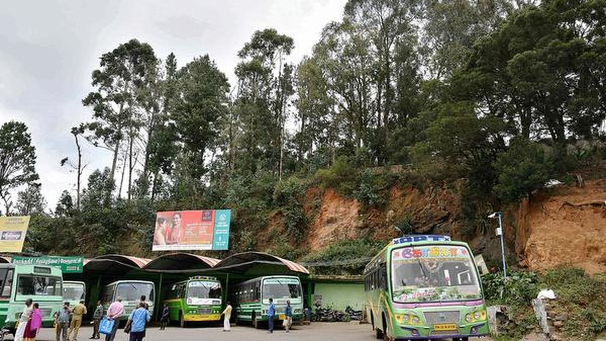 Call to remove trees threatening commuters at Kotagiri bus stand - The ...