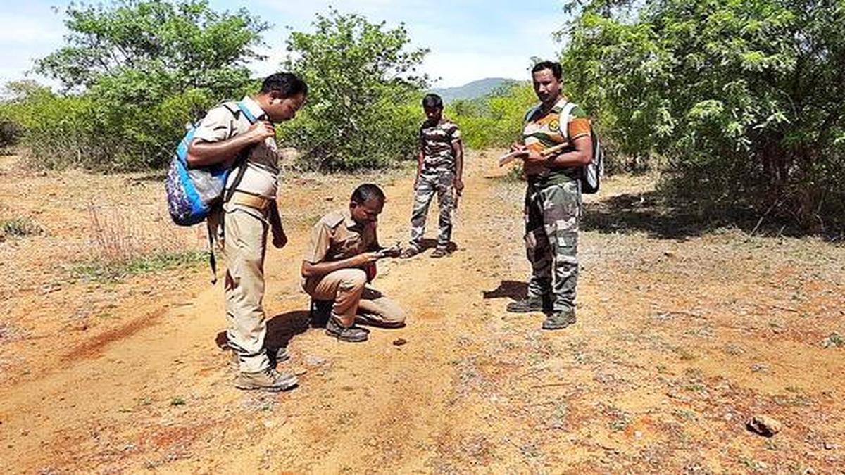Wildlife monitoring begins in Sathyamangalam Tiger Reserve - The Hindu