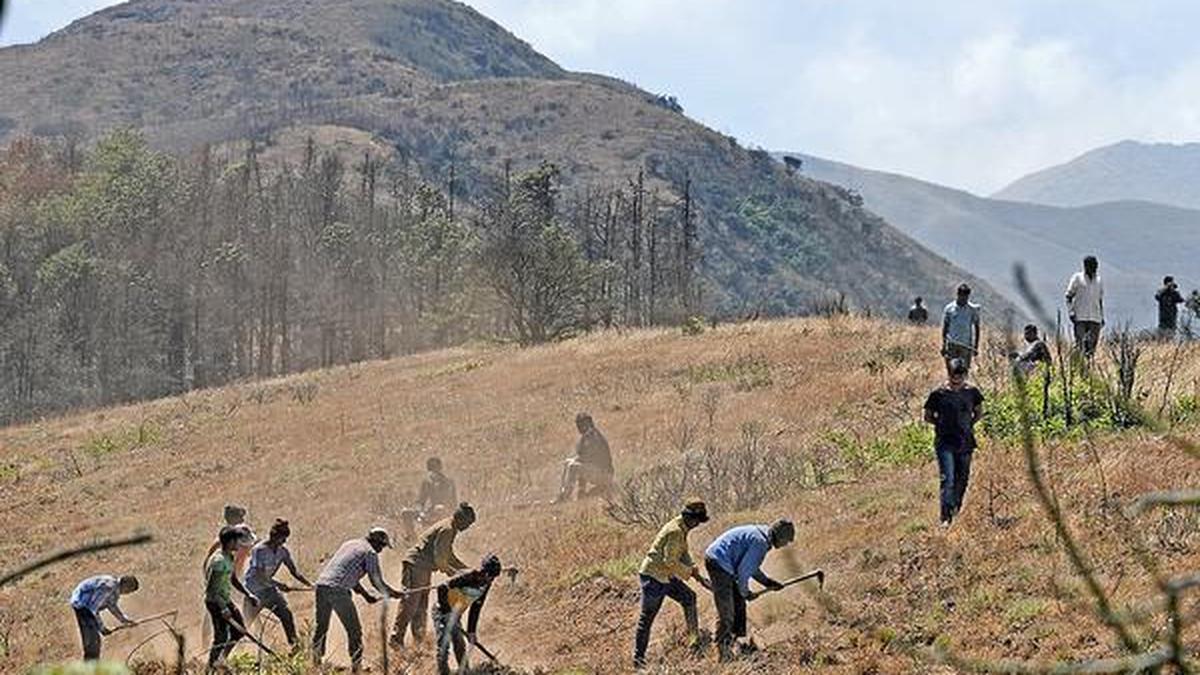 Work on constructing fire lines begins in Mukurthi National Park - The ...