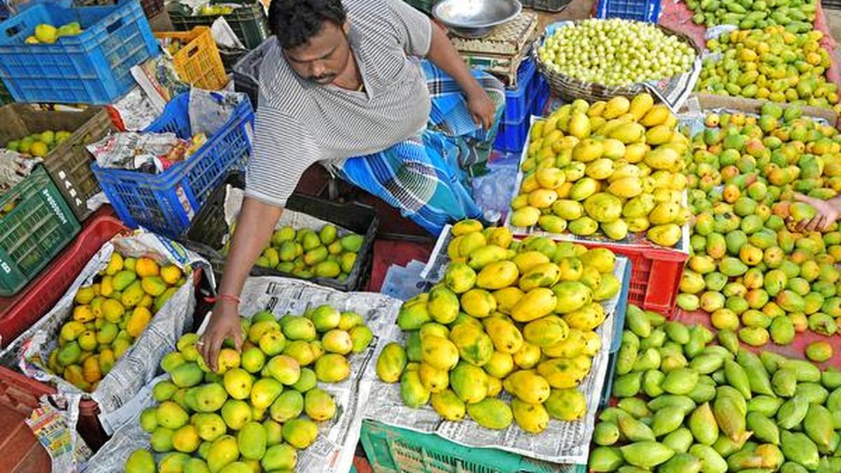 King of fruits make its entry into Erode market - The Hindu