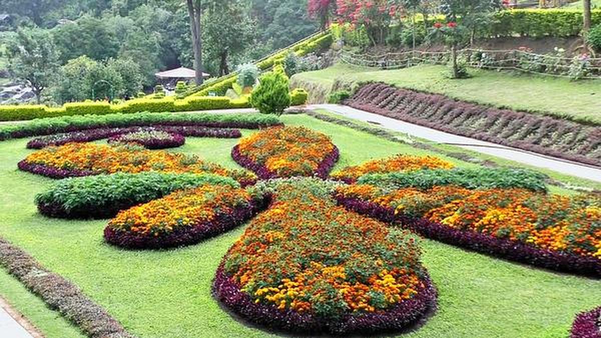 Kattery Park sees increase in visitors - The Hindu