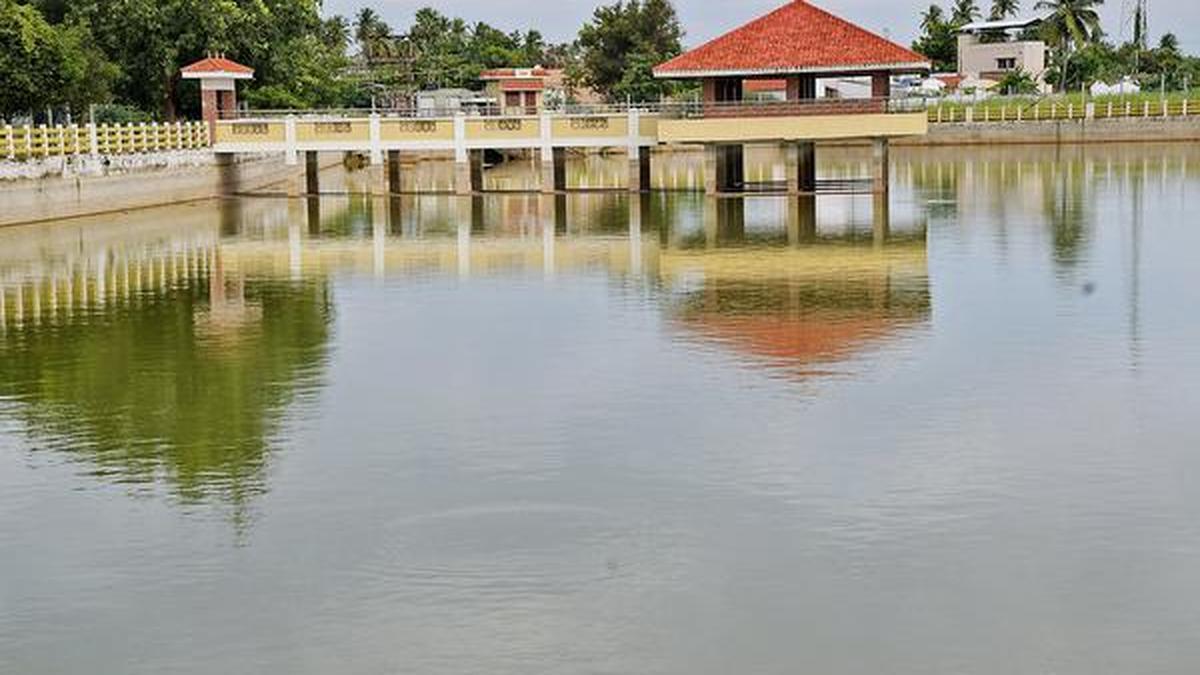 Water in Sadayampalayam tank up to the brim - The Hindu