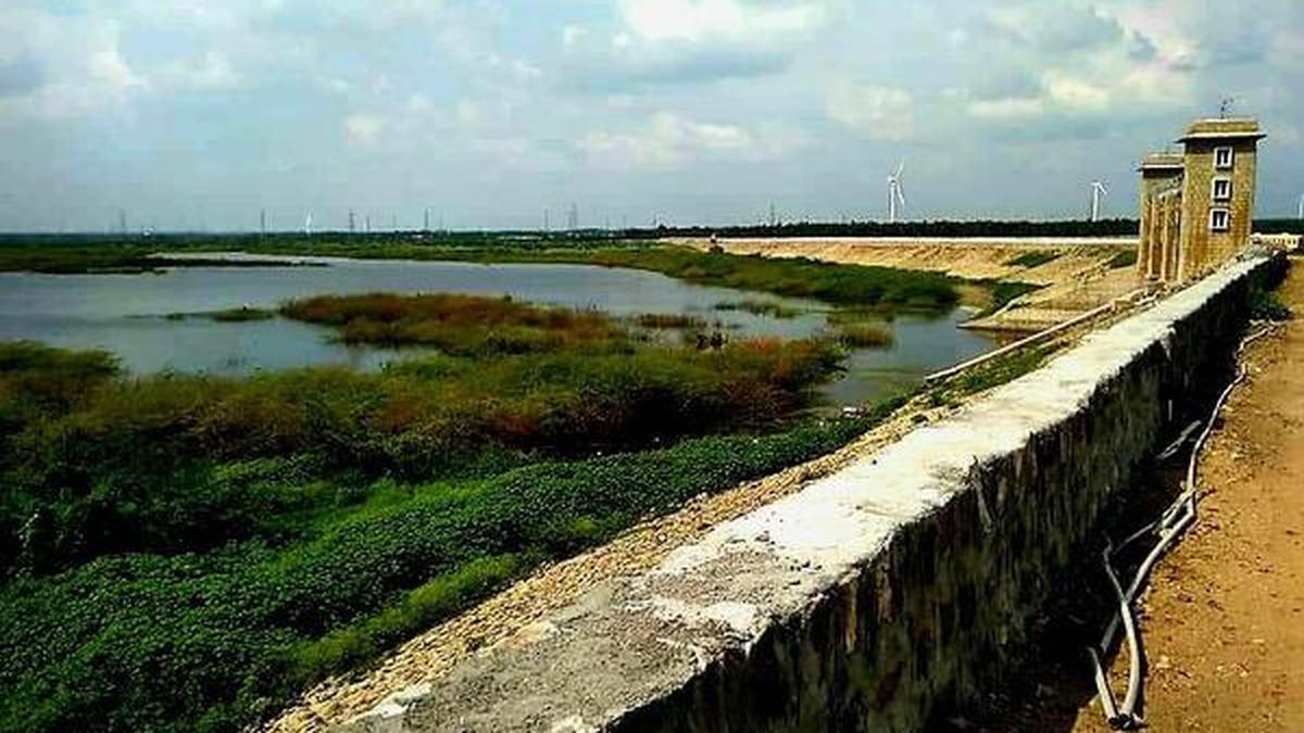 Water level in Uppar dam brings cheer to farmers - The Hindu