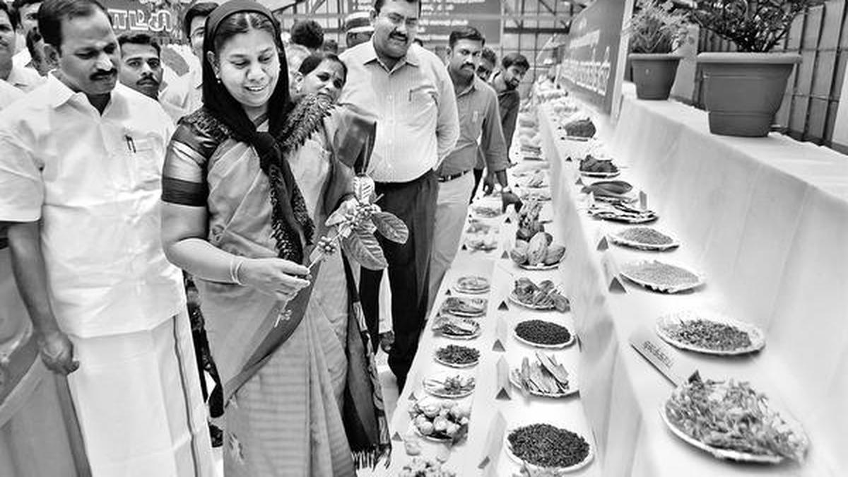 Two-day Valvil Ori Vizha begins - The Hindu