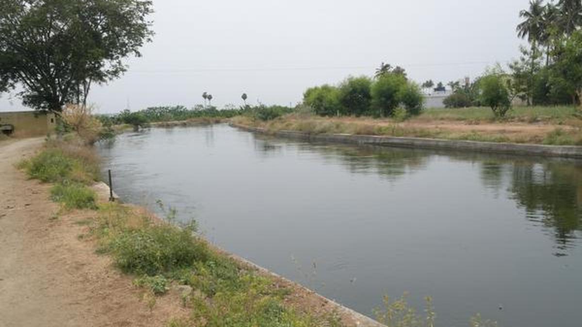 Lockdown | Farmers claim drop in pollution level in Kalingarayan Canal ...