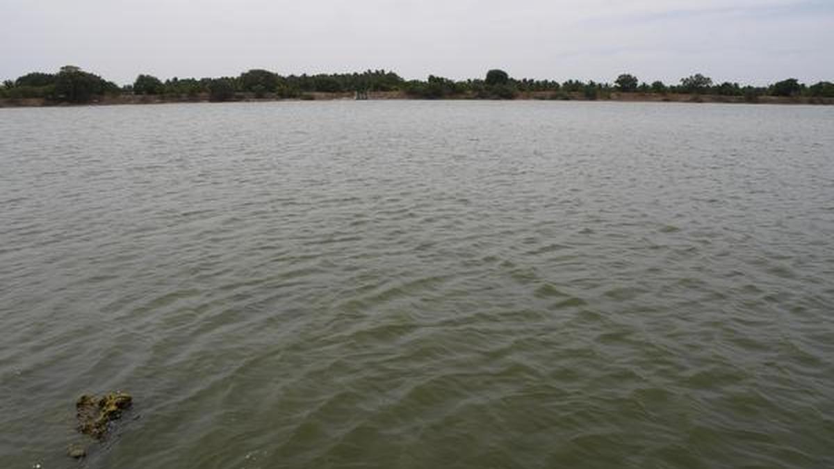 All set for dredging Achankulam Tank - The Hindu