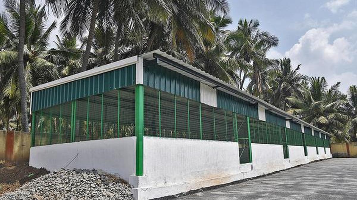 City to get second animal birth control centre - The Hindu