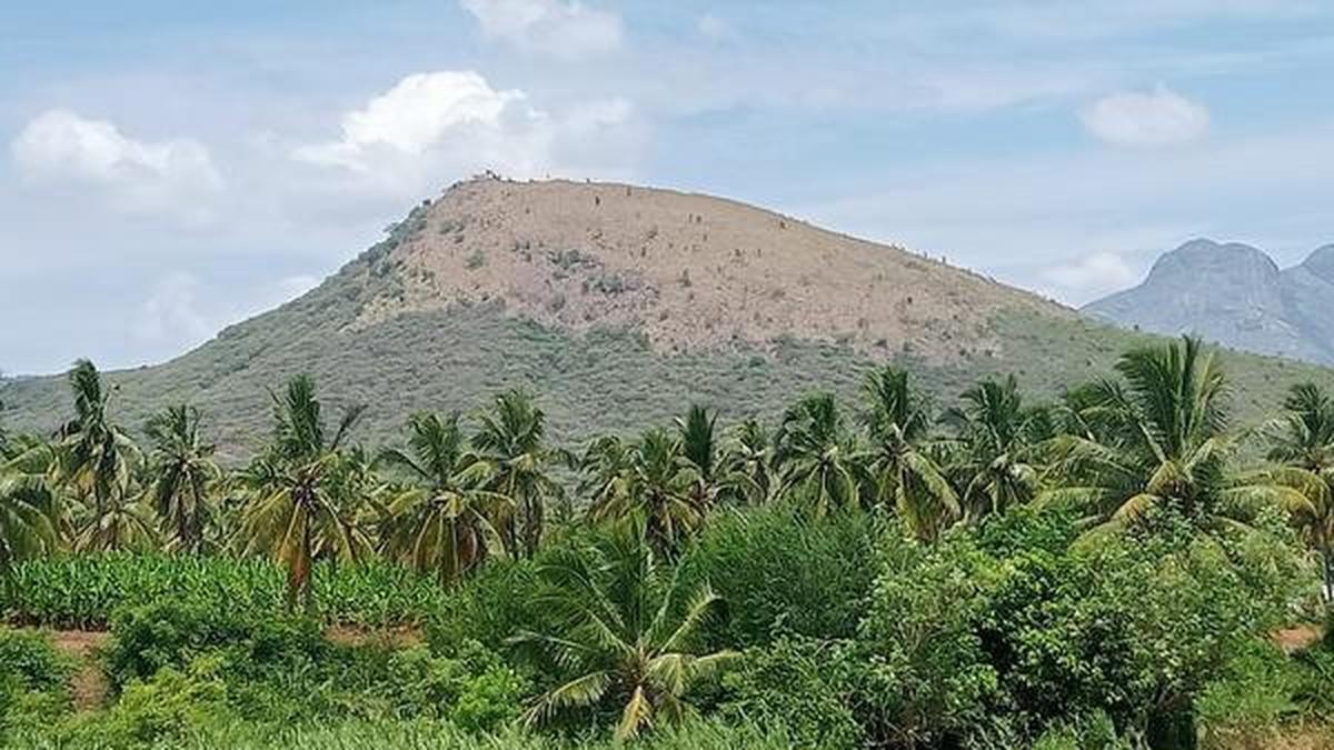 Coimbatore district’s forest area is now larger by 1,049 hectares - The ...