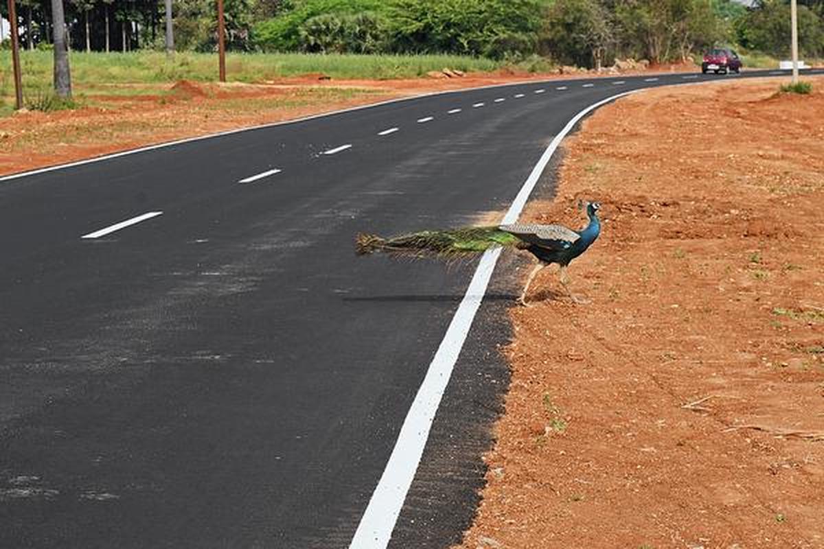 Erode Outer Ring Road project to be inaugurated soon - The Hindu