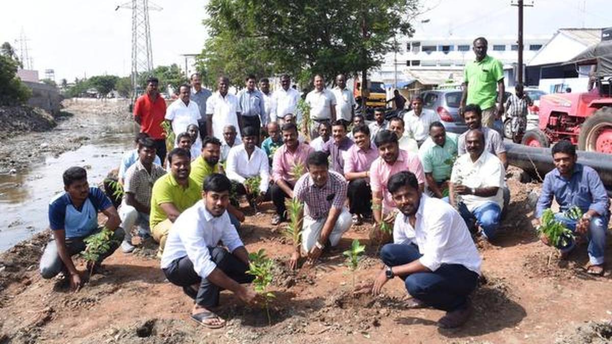 Sapling planting drive carried out - The Hindu