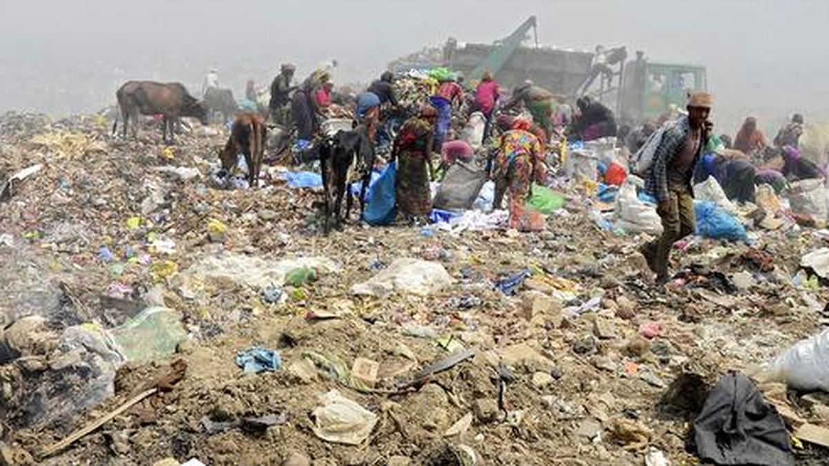 SC pulls up ‘superman’ L-G for garbage pile-up in city - The Hindu