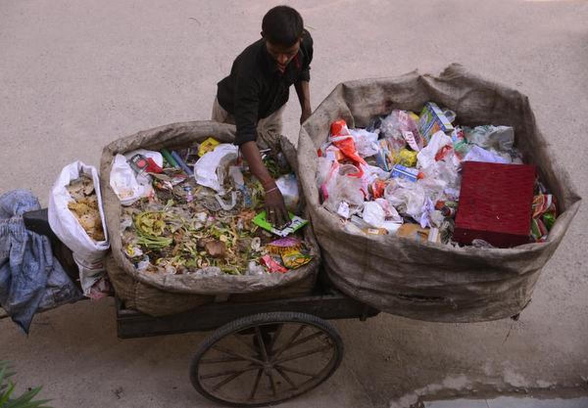 What happens to your garbage after you segregate it? - The Hindu