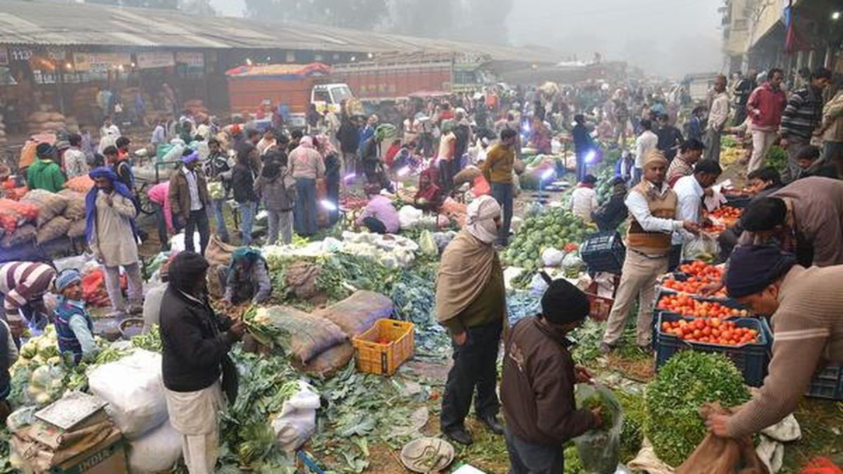 Trade collapses at Azadpur Mandi - The Hindu