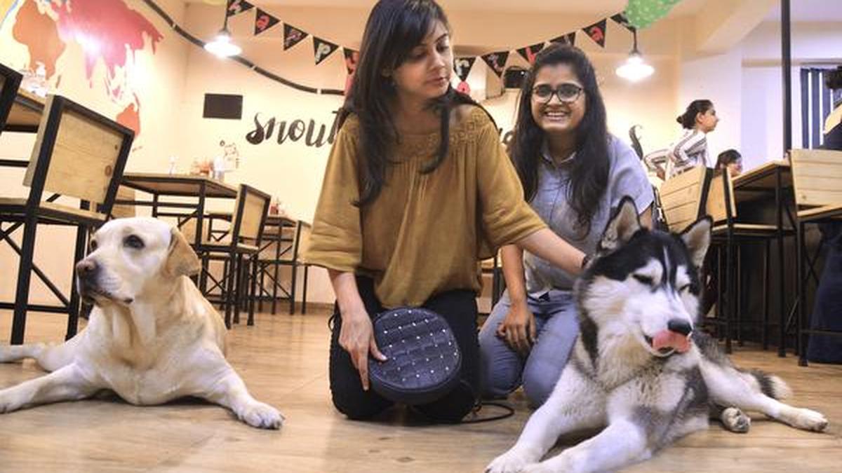 Puppychino, Delhi’s first dog café - The Hindu