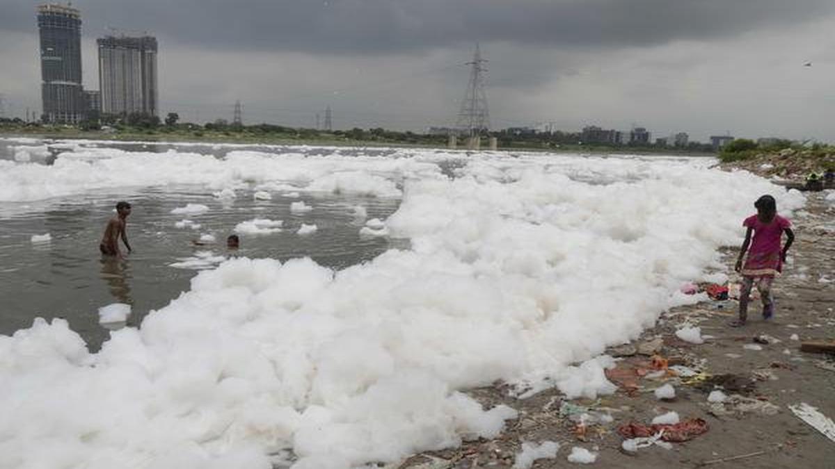 Yamuna cleaning project: NGT raps Delhi government, Jal Board - The Hindu