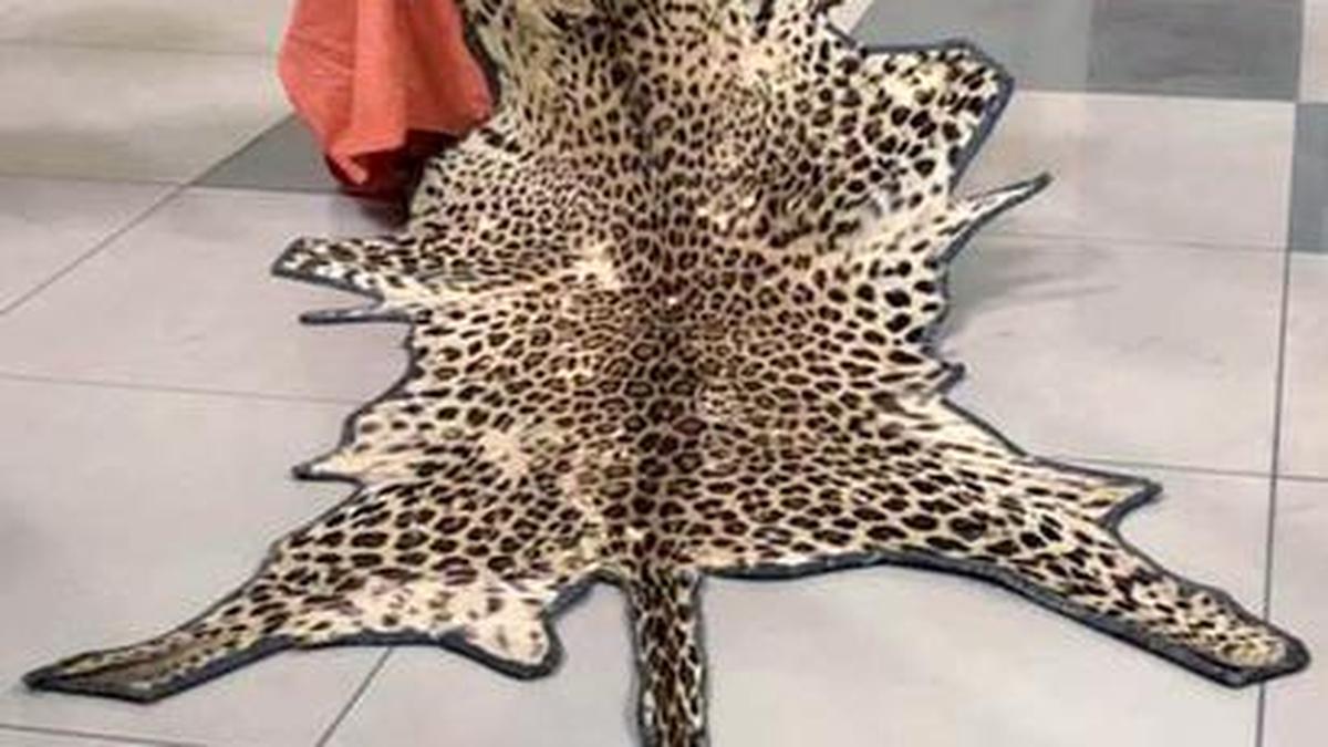 Leopard skin seized in Haryana - The Hindu