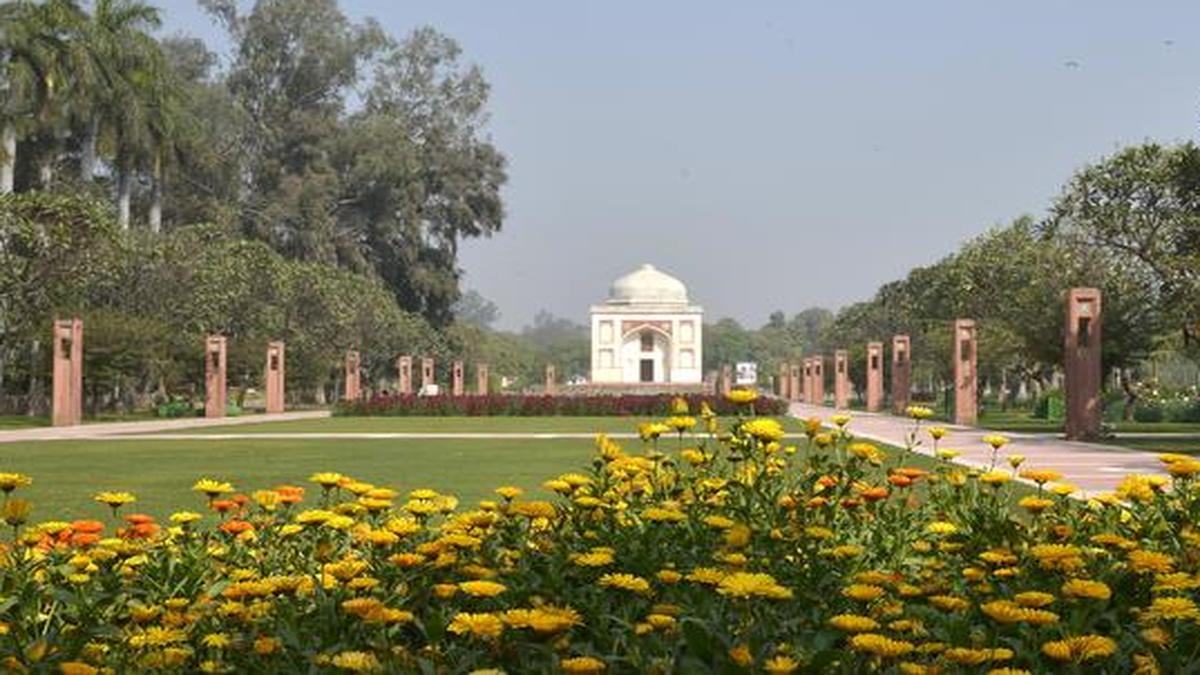 Sunder Nursery in full bloom - The Hindu