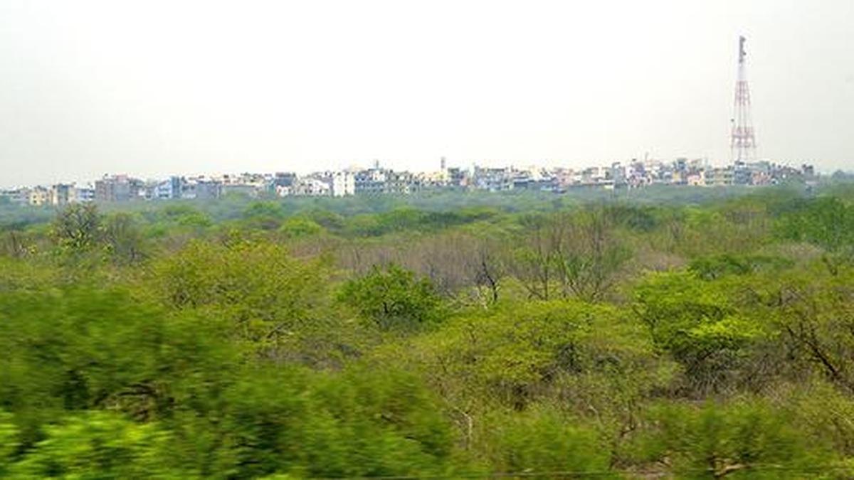 ‘Complete demarcation of Ridge by June 30’ - The Hindu