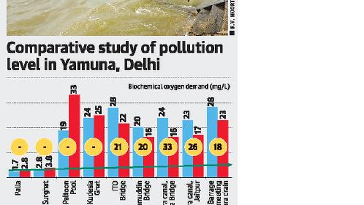 Yamuna water quality improves during lockdown: govt. report - The Hindu
