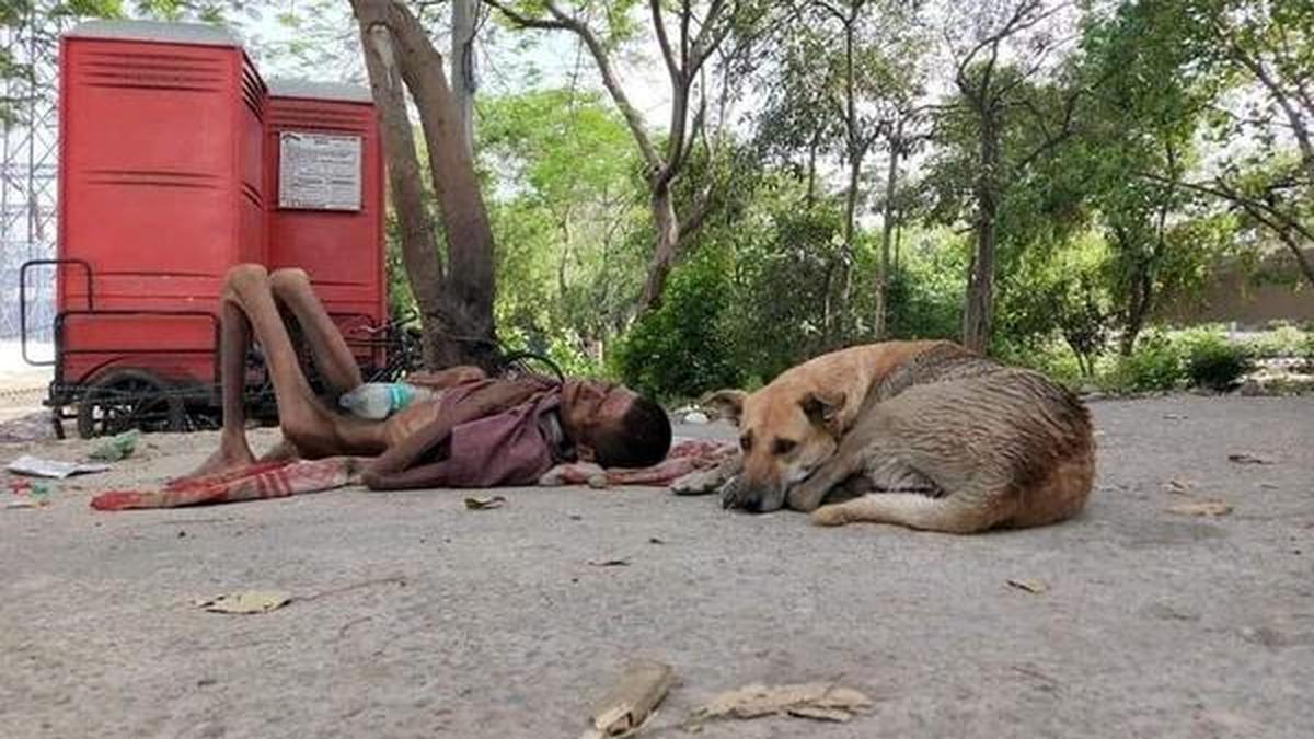 Destitute man dies a week after being rescued - The Hindu